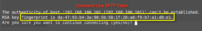 The SSH / SFTP Key Fingerprint And Its Role In Server Authentication ...