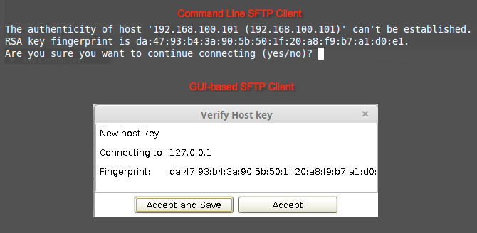 The SSH / SFTP Key Fingerprint And Its Role In Server Authentication The SSH / SFTP Key Fingerprint And Its Role In Server Authentication